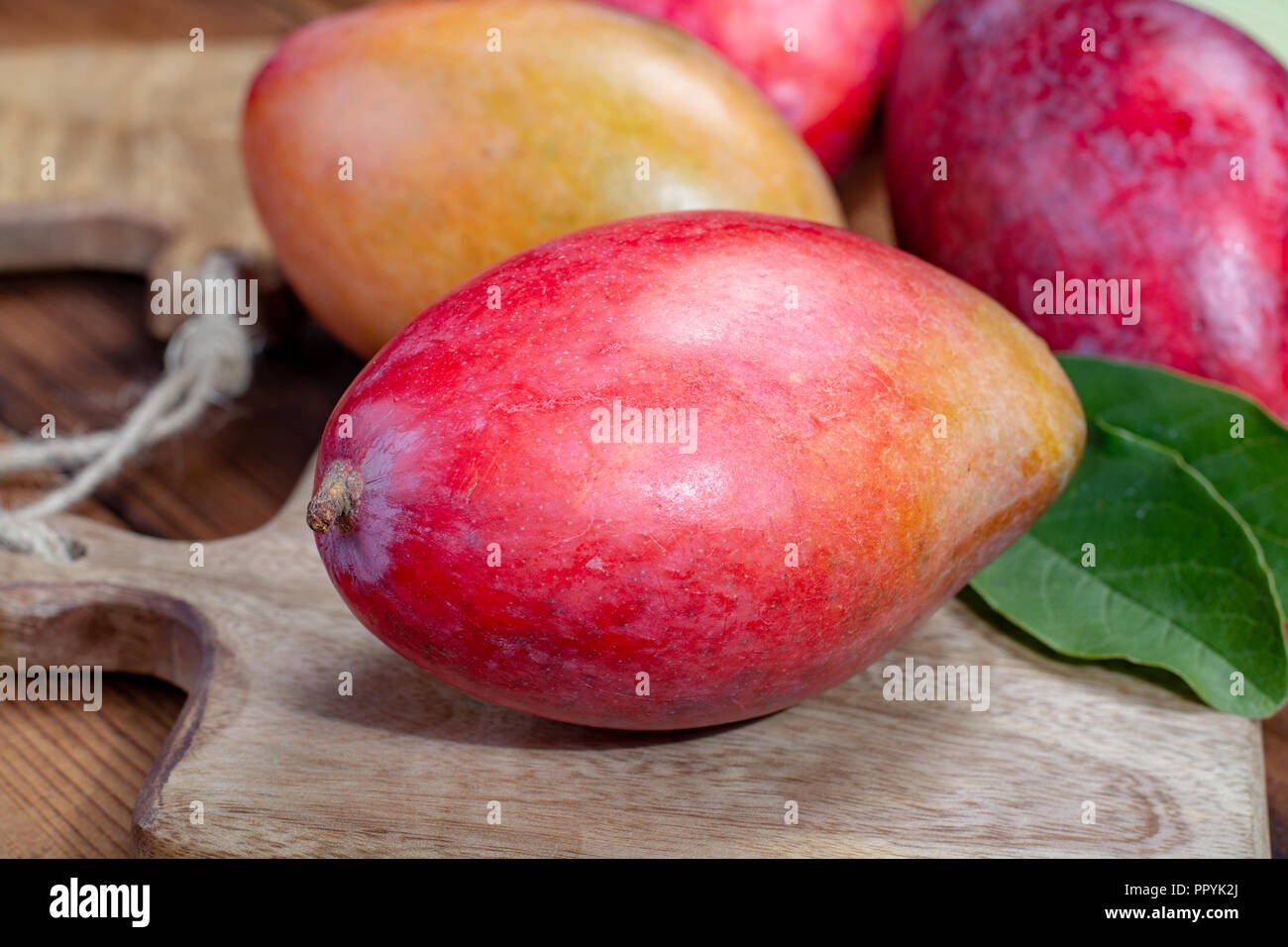 National fruit of India, Pakistan, and Philippines tropical organic ...