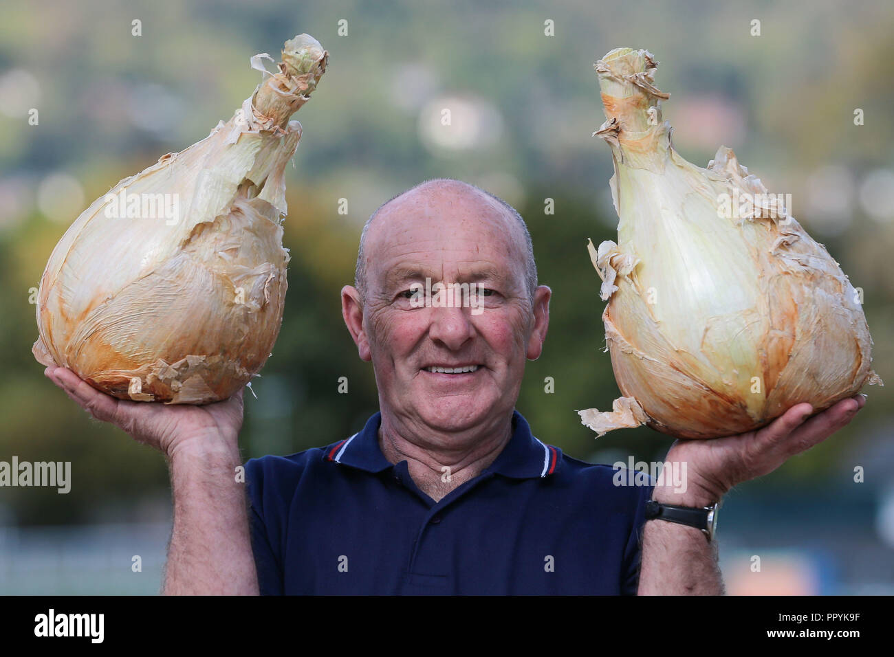 Joe Atherton with his giant onions as they arrive for measuring and ...