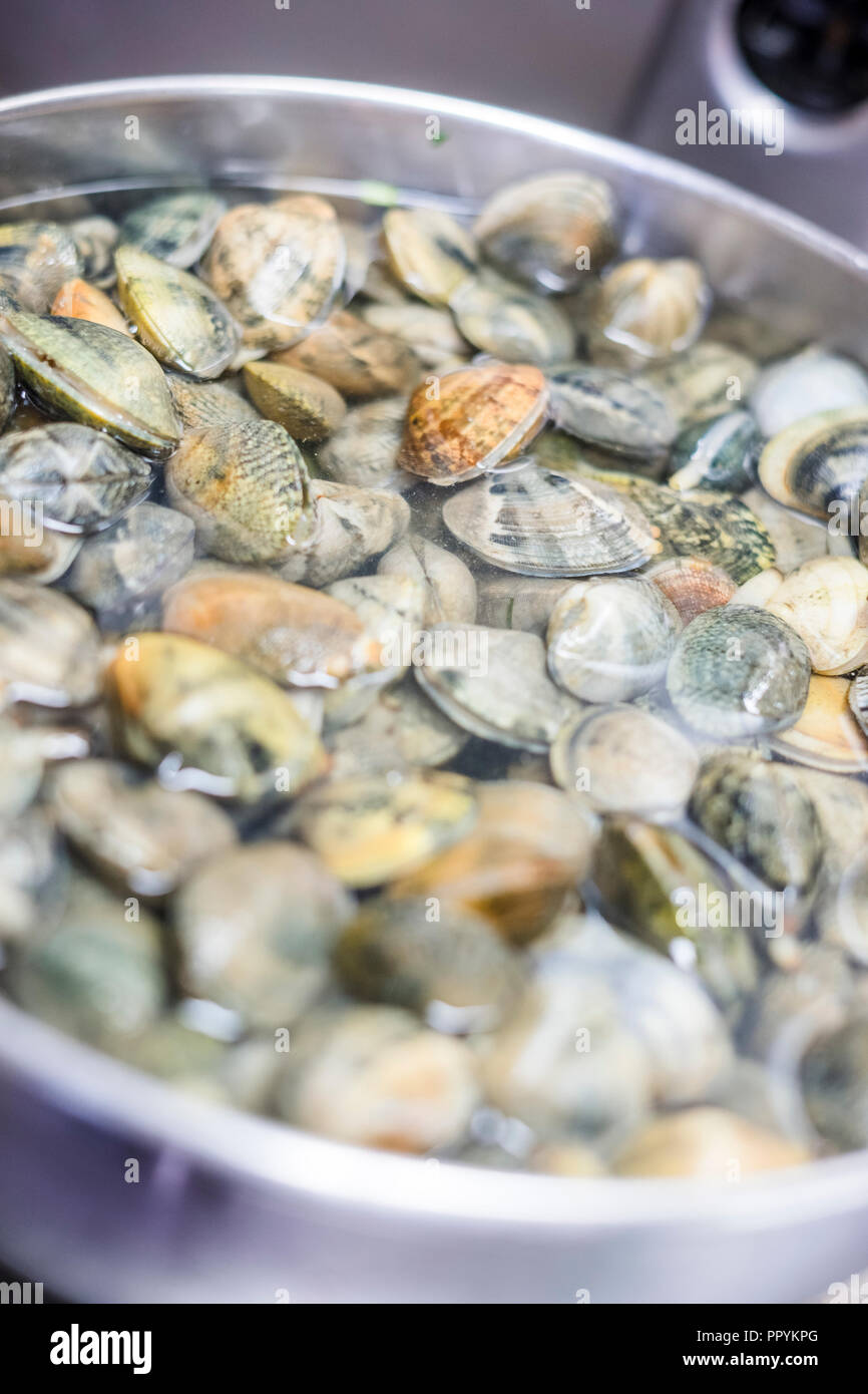 Clam shell bucket hi-res stock photography and images - Alamy