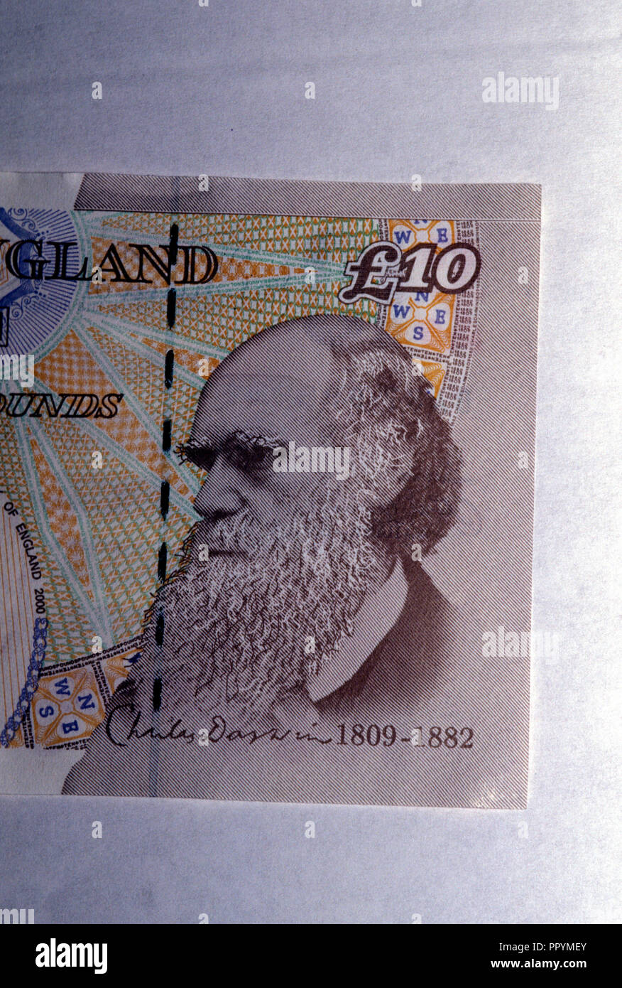 10 pounds hi-res stock photography and images - Alamy