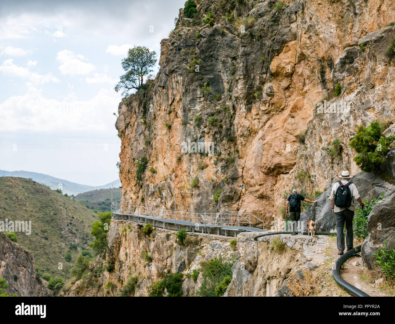 Older men and dogs walking on mountain gorge cliff narrow path, Sierras ...