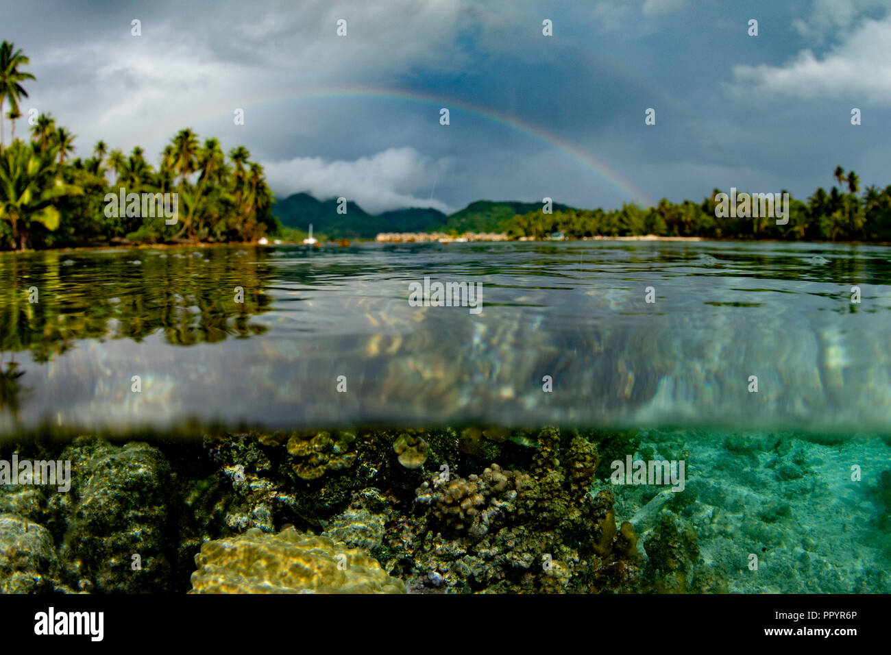 snorkeling in french polynesia turquoise water lagoon and rainbow Stock ...