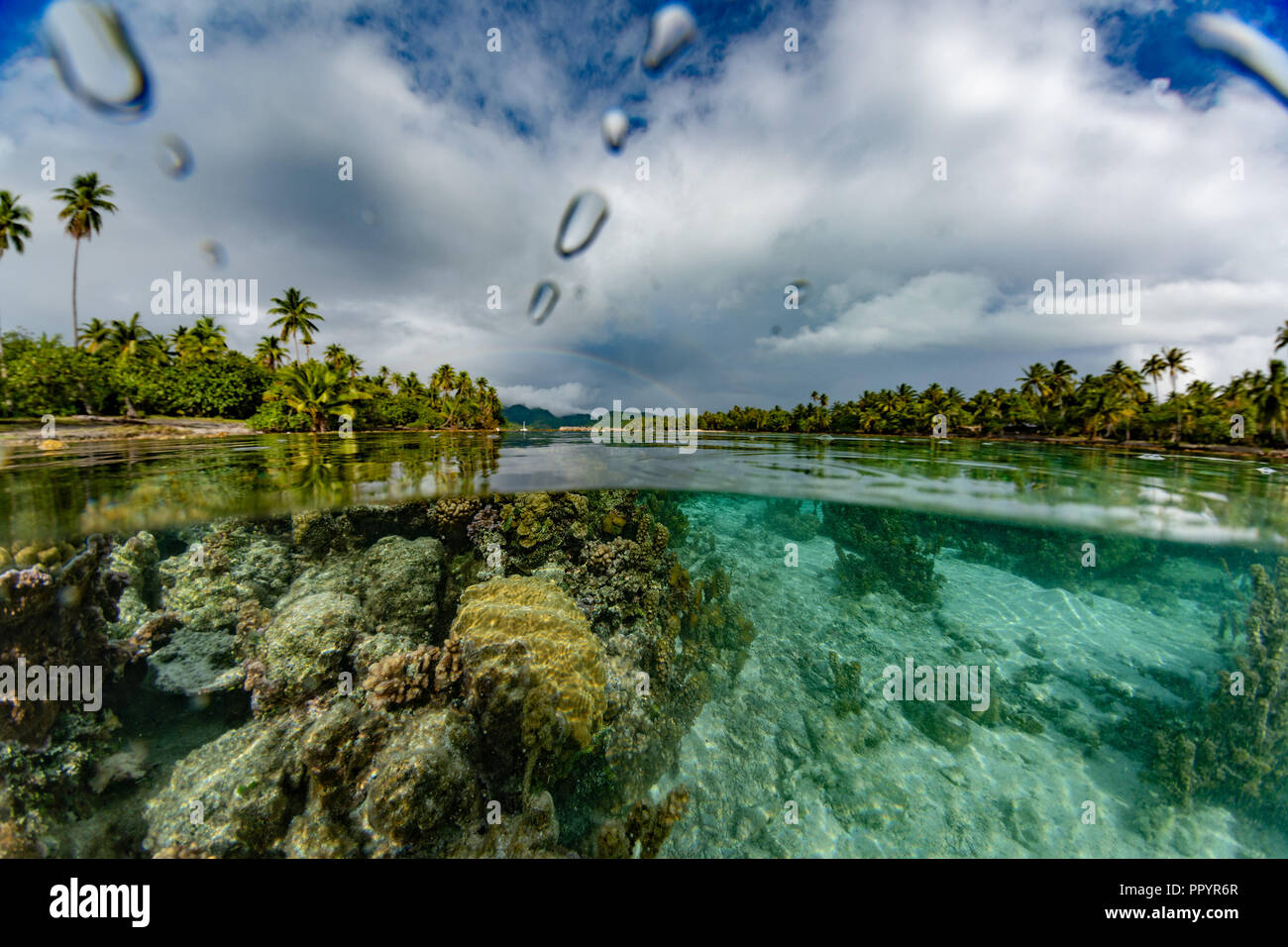 snorkeling in french polynesia turquoise water lagoon and rainbow Stock ...