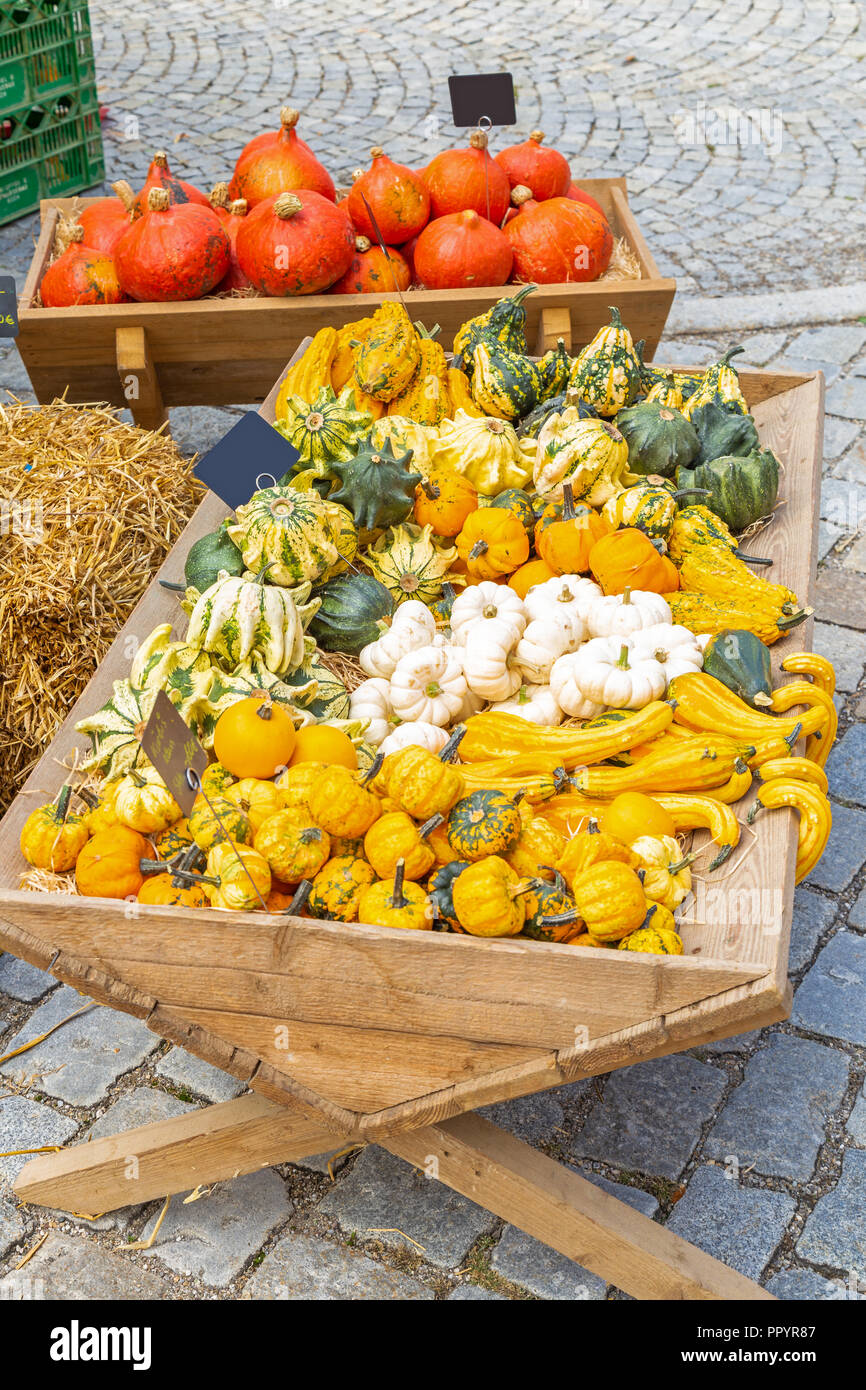 Small pumpkins for sale on a market Stock Photo - Alamy