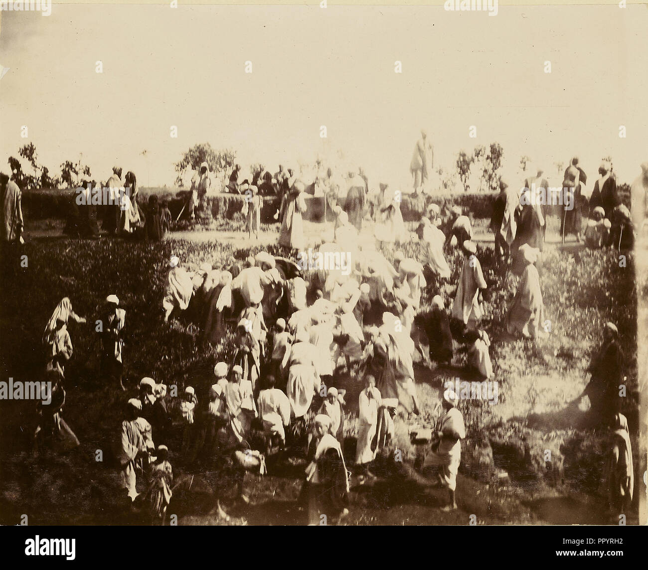 Crowd of people on hillside; about 1860 - 1880; Tinted Albumen silver ...