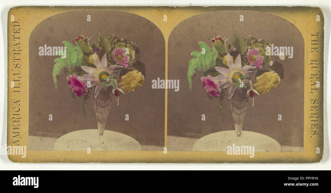 Flowers in clear glass vase; American; about 1870 - 1880; Hand-colored ...