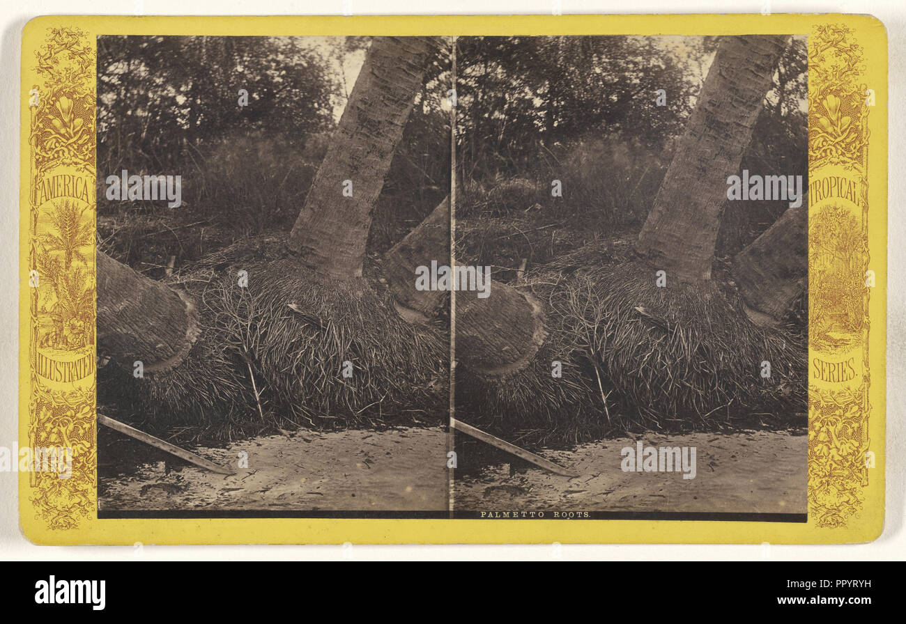 American roots hi-res stock photography and images - Alamy