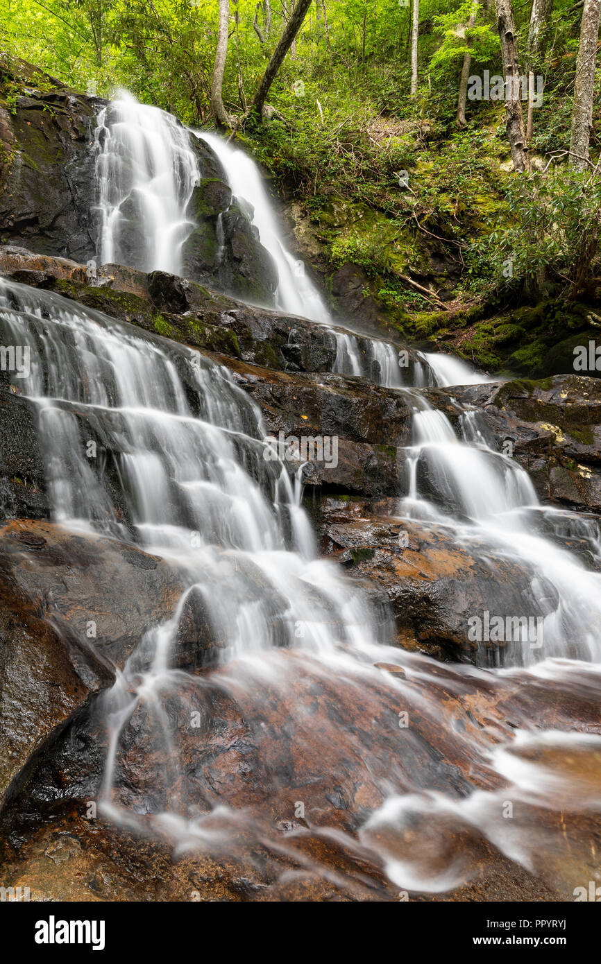 Laurel hill hi-res stock photography and images - Alamy