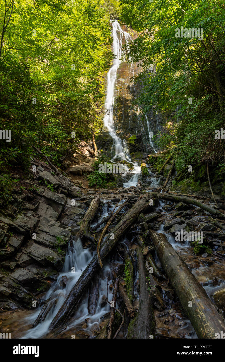 Mingo hi-res stock photography and images - Alamy