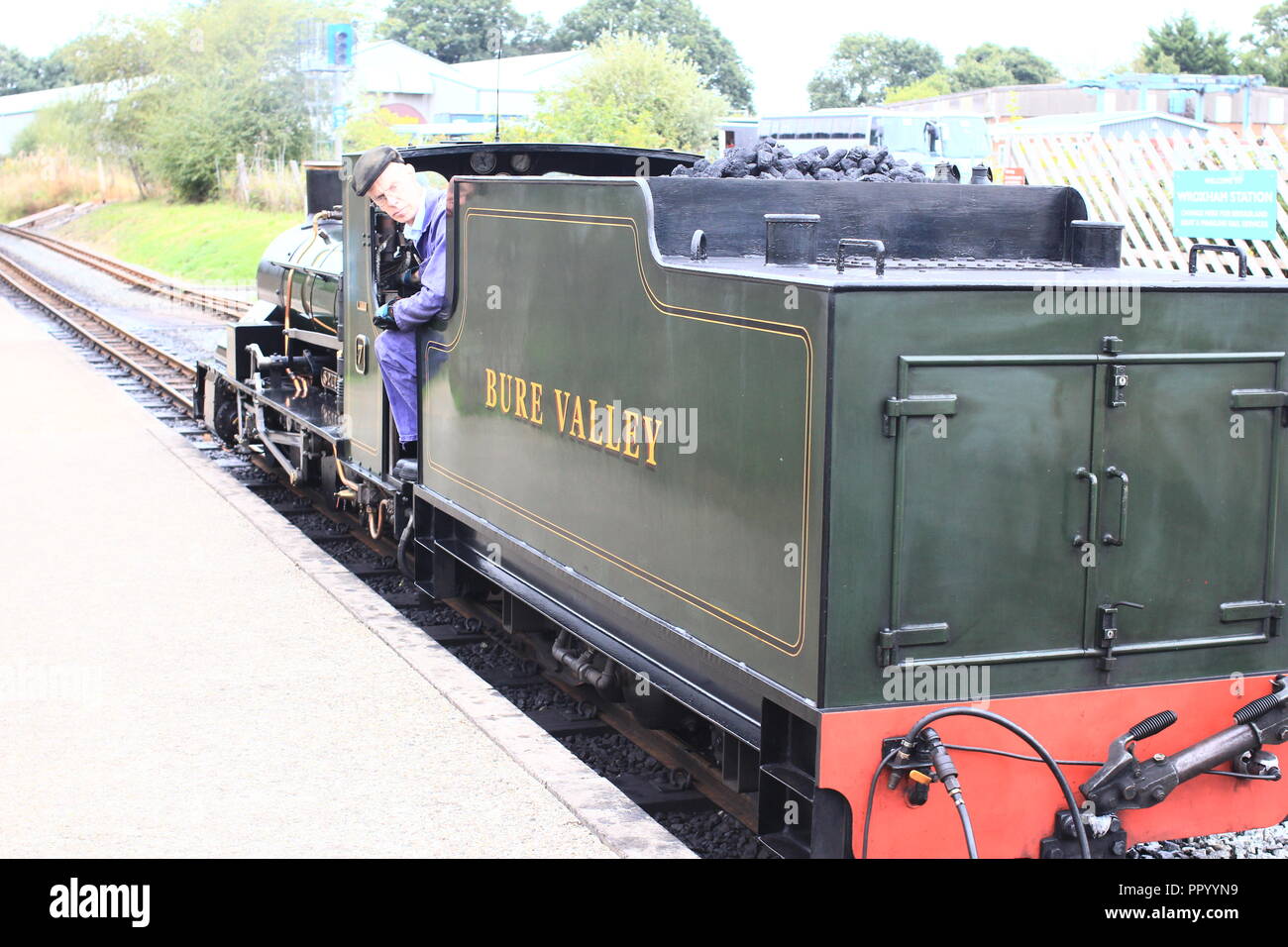 Small gauge steam train Stock Photo - Alamy
