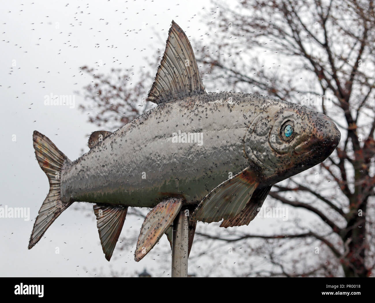 Sculpture by the lakes hi-res stock photography and images - Alamy