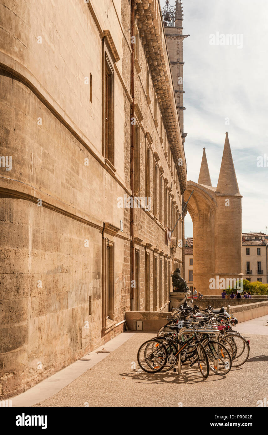 Faculty of medicine hi-res stock photography and images - Alamy