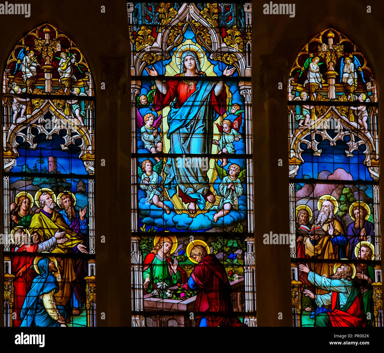 Stained glass window depicting the Assumption of Mary in the cathedral ...