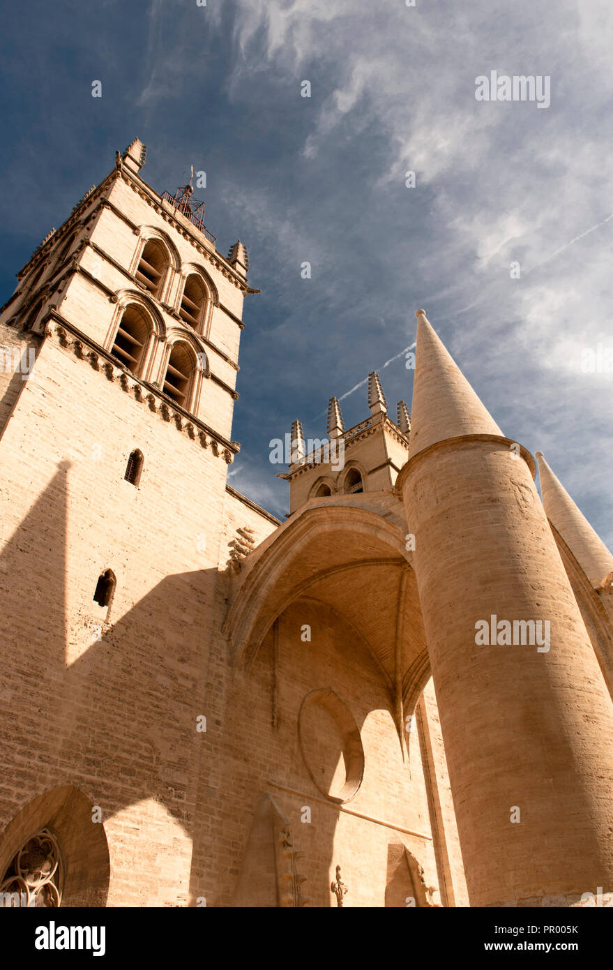 The Cathédrale Saint-Pierre in the old town centre of Montpellier ...