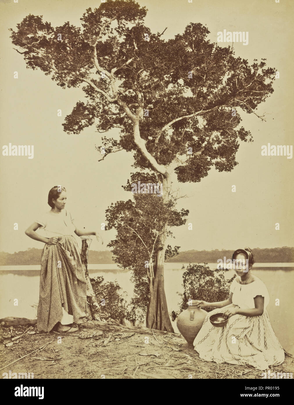 Metis; Albert Frisch, German, 1840 - 1918, Brazil; about 1867; Albumen ...