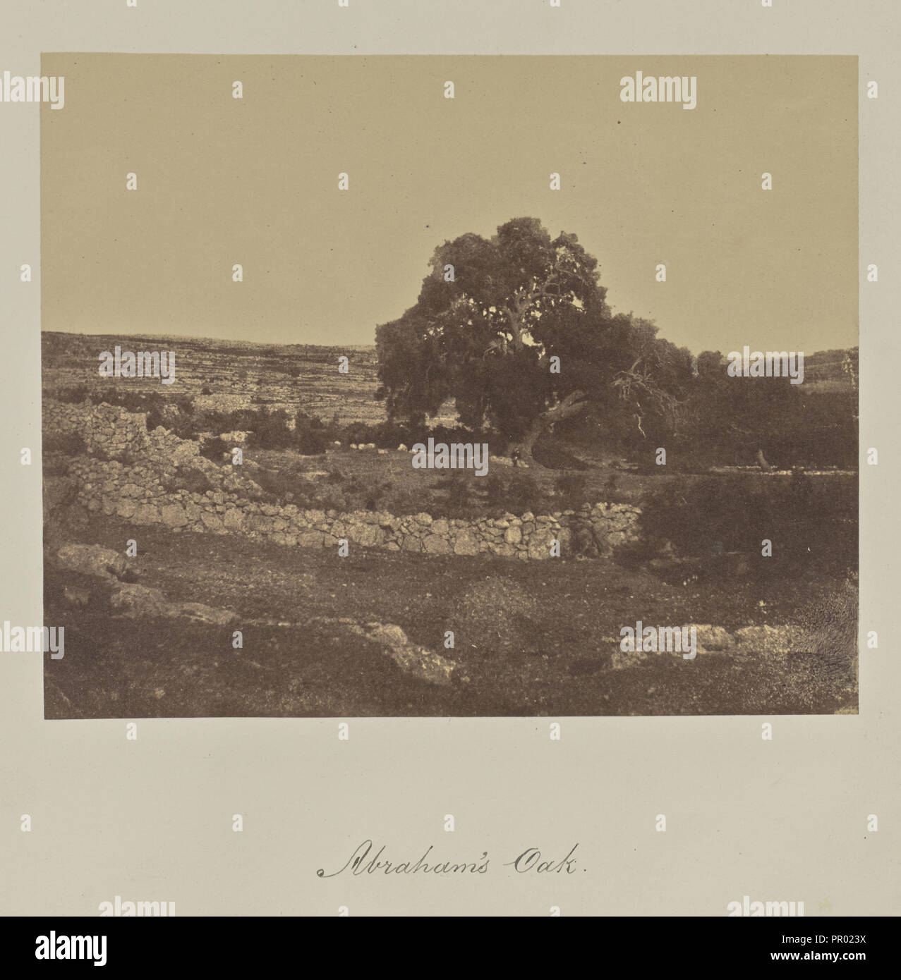 Abraham's Oak; Reverend George Wilson Bridges, English, born Australia ...