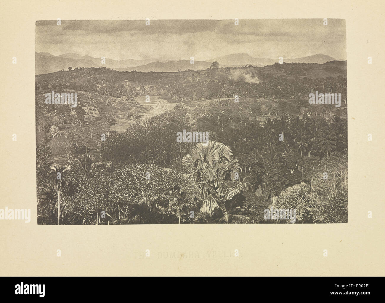 The Dumbara Valley; Henry W. Cave, English, 1854 - 1913, Sri Lanka ...