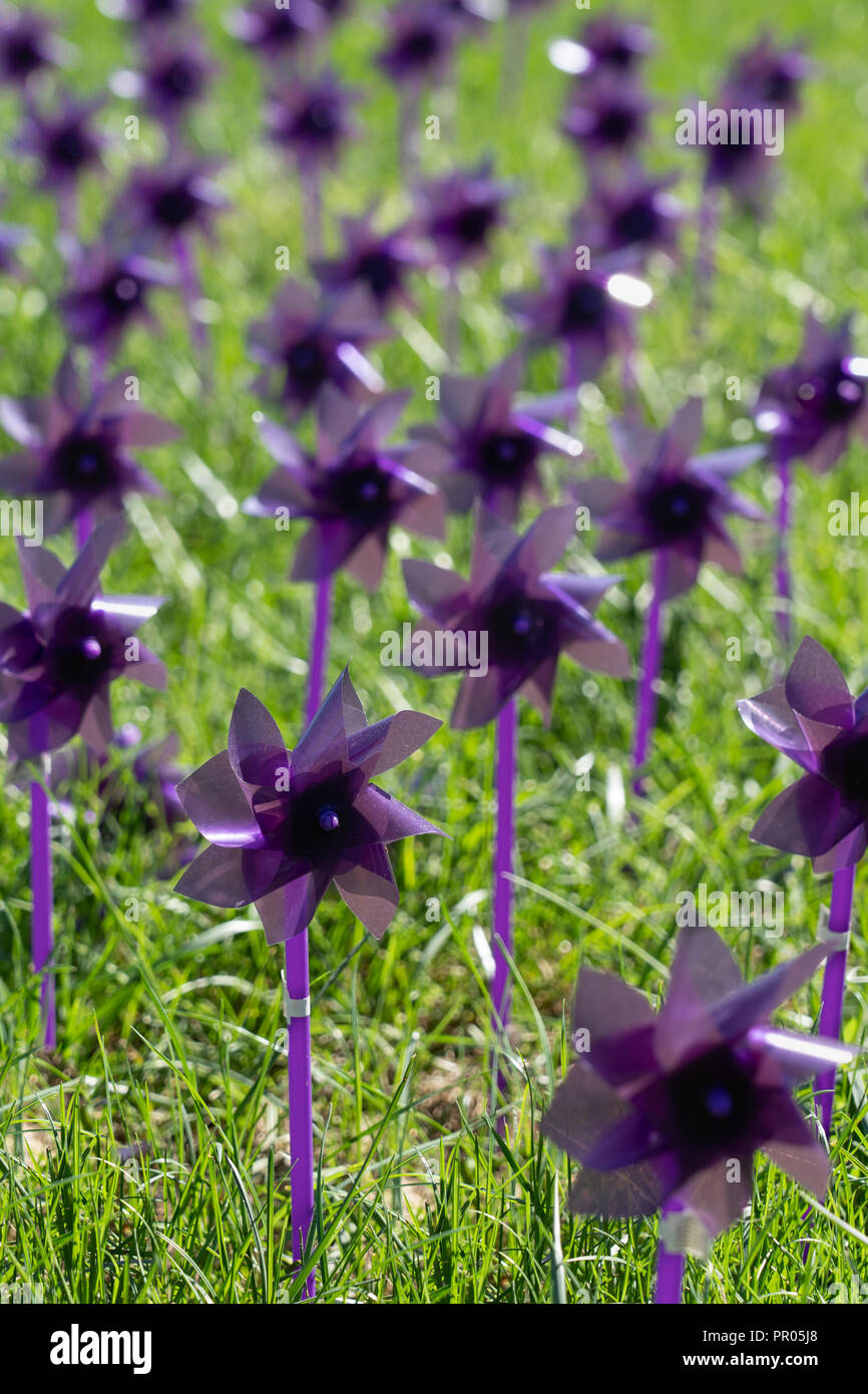 Field with pinwheels hi-res stock photography and images - Alamy