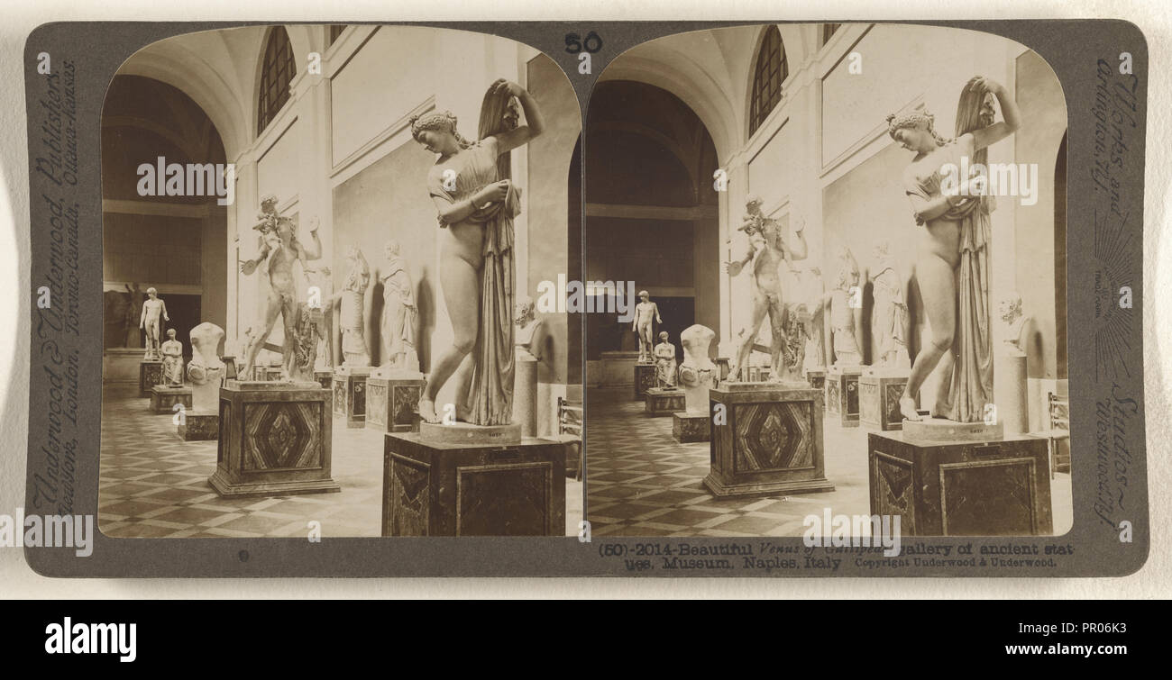 Beautiful Venus of Gallipede, gallery of ancient statues. Museum ...