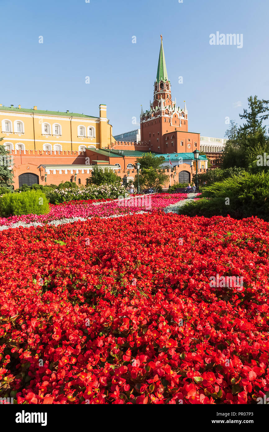 Moscow, Russia-August 23,2018: beatuful flowers in the Aleksandrov park ...