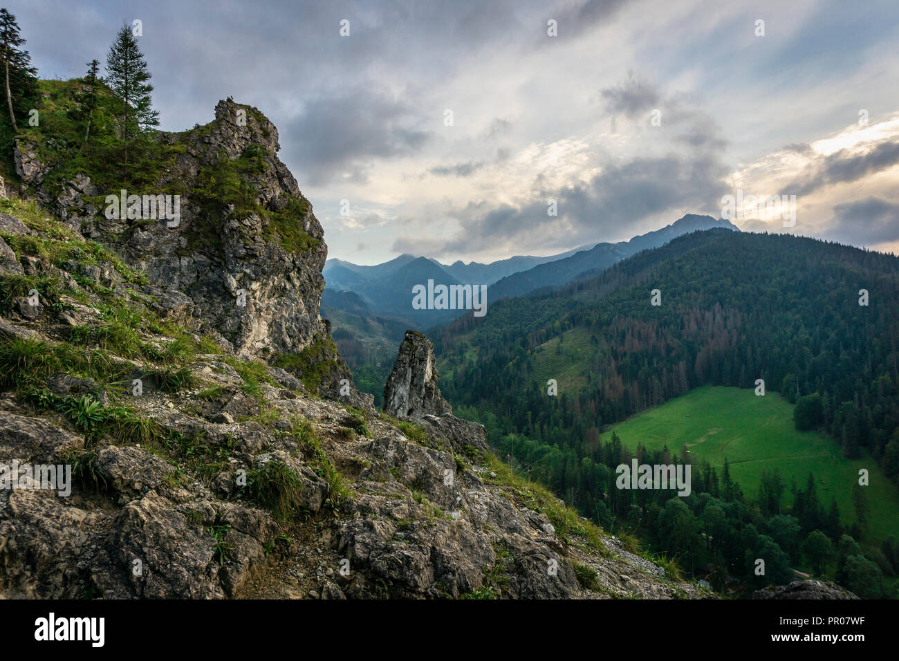 Nosal hi-res stock photography and images - Alamy