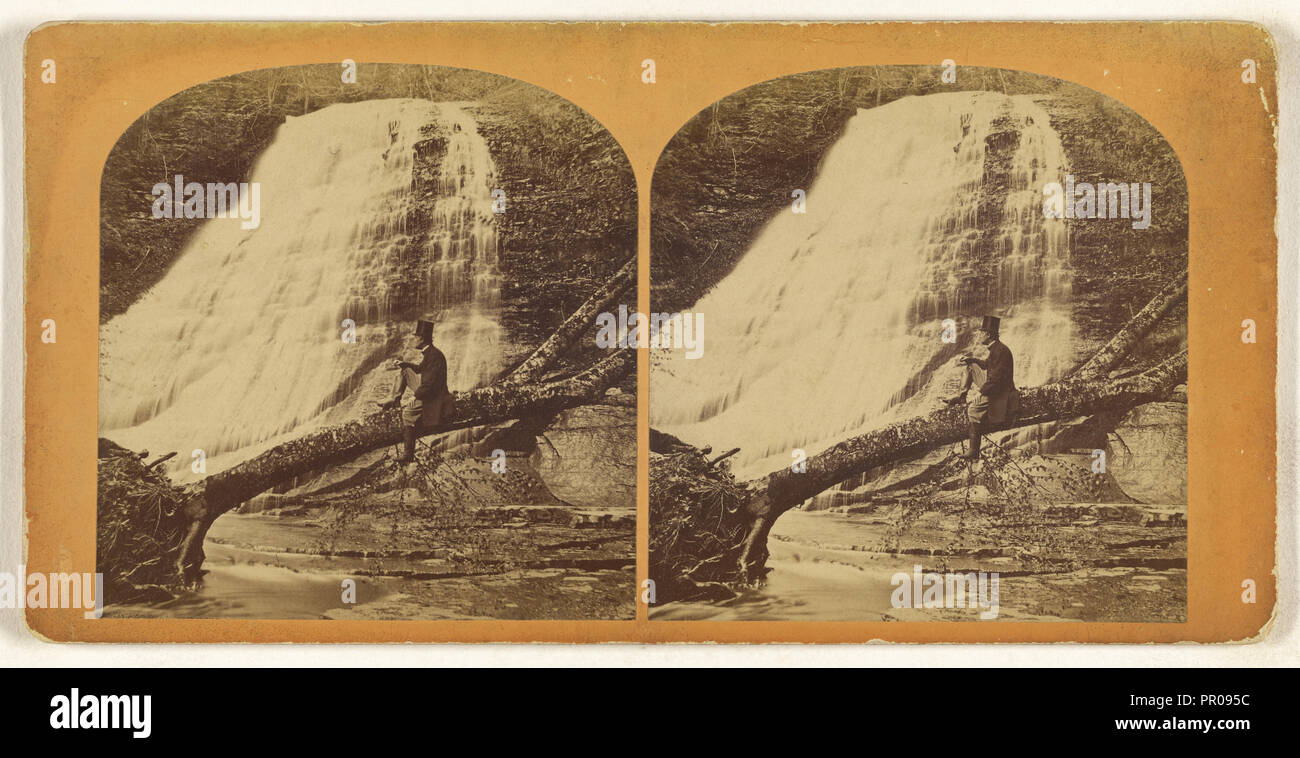 Pulpit Falls, Cayuga, N.Y; American; about 1860; Albumen silver print ...