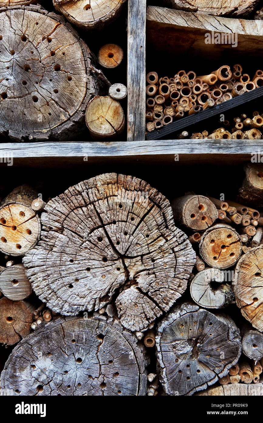 Insect residence hi-res stock photography and images - Alamy