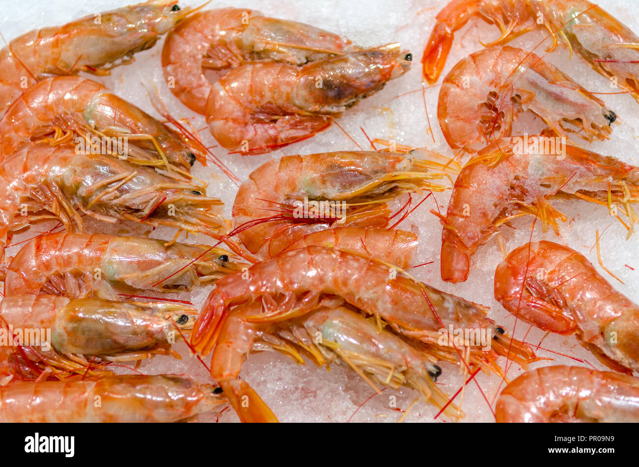 some raw red prawns on crushed ice Stock Photo - Alamy