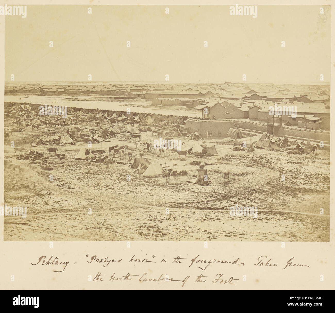 Probyn hi-res stock photography and images - Alamy