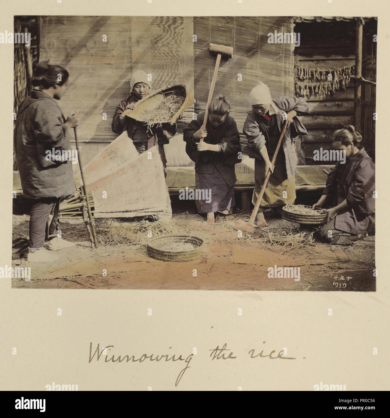 Hand winnowing hi-res stock photography and images - Alamy