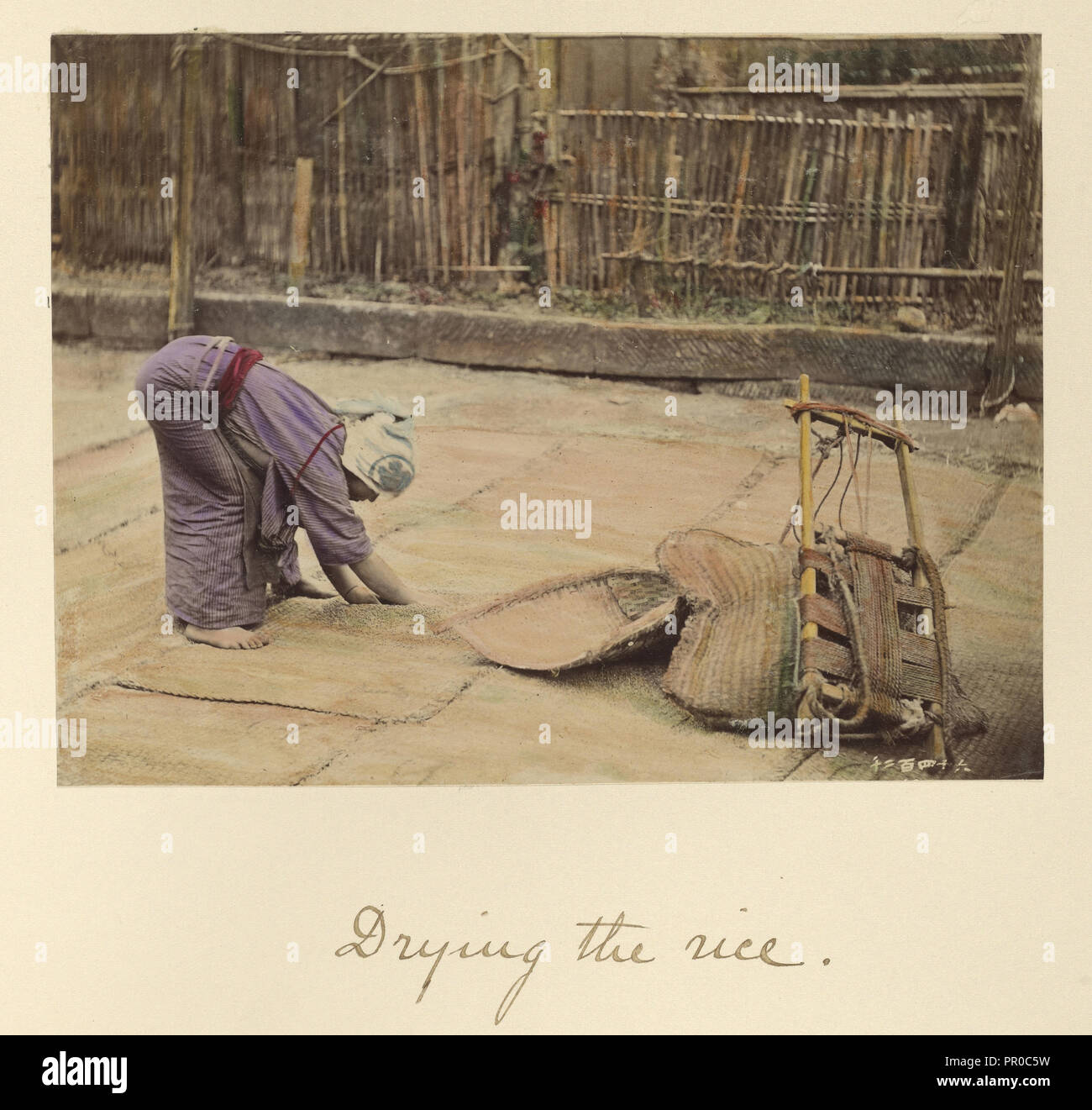 Drying the Rice; Shinichi Suzuki, Japanese, 1835 - 1919, Japan; about ...