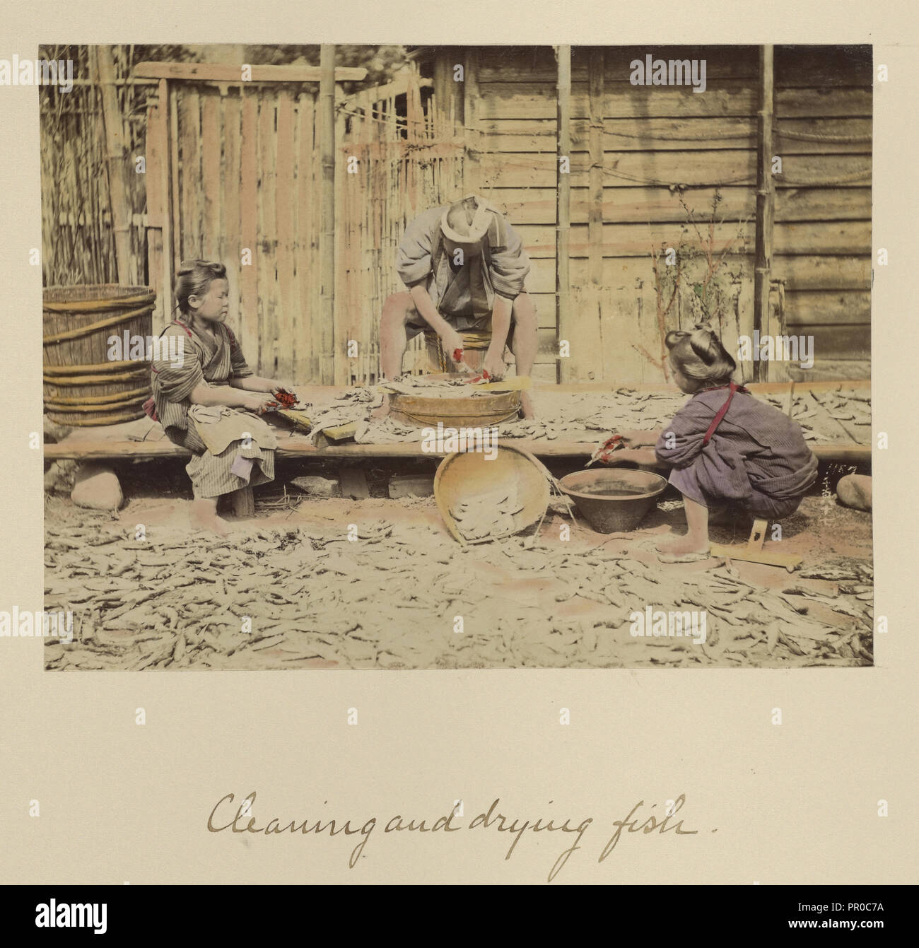 Cleaning and Drying Fish; Shinichi Suzuki, Japanese, 1835 - 1919, Japan ...