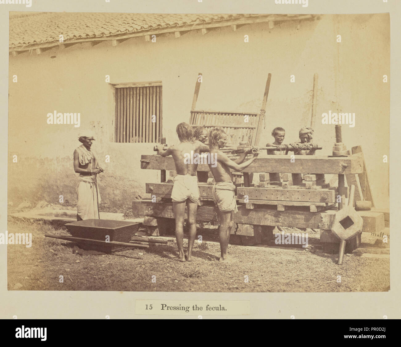 Mallitte hi-res stock photography and images - Alamy