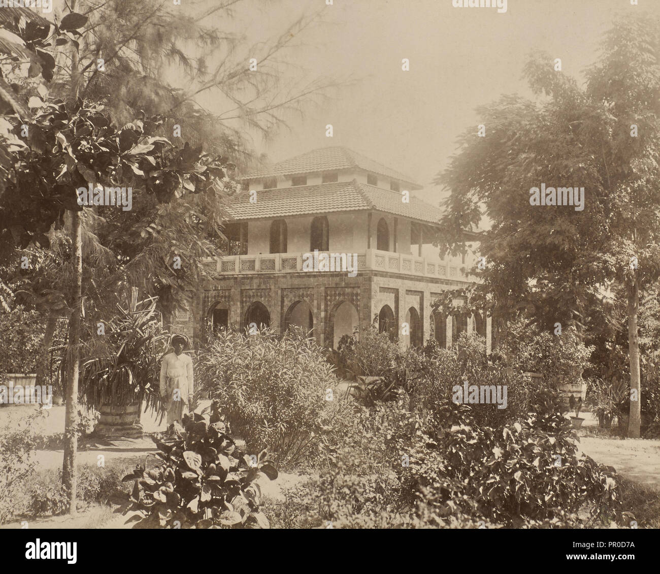 Wagha wadi hi-res stock photography and images - Alamy