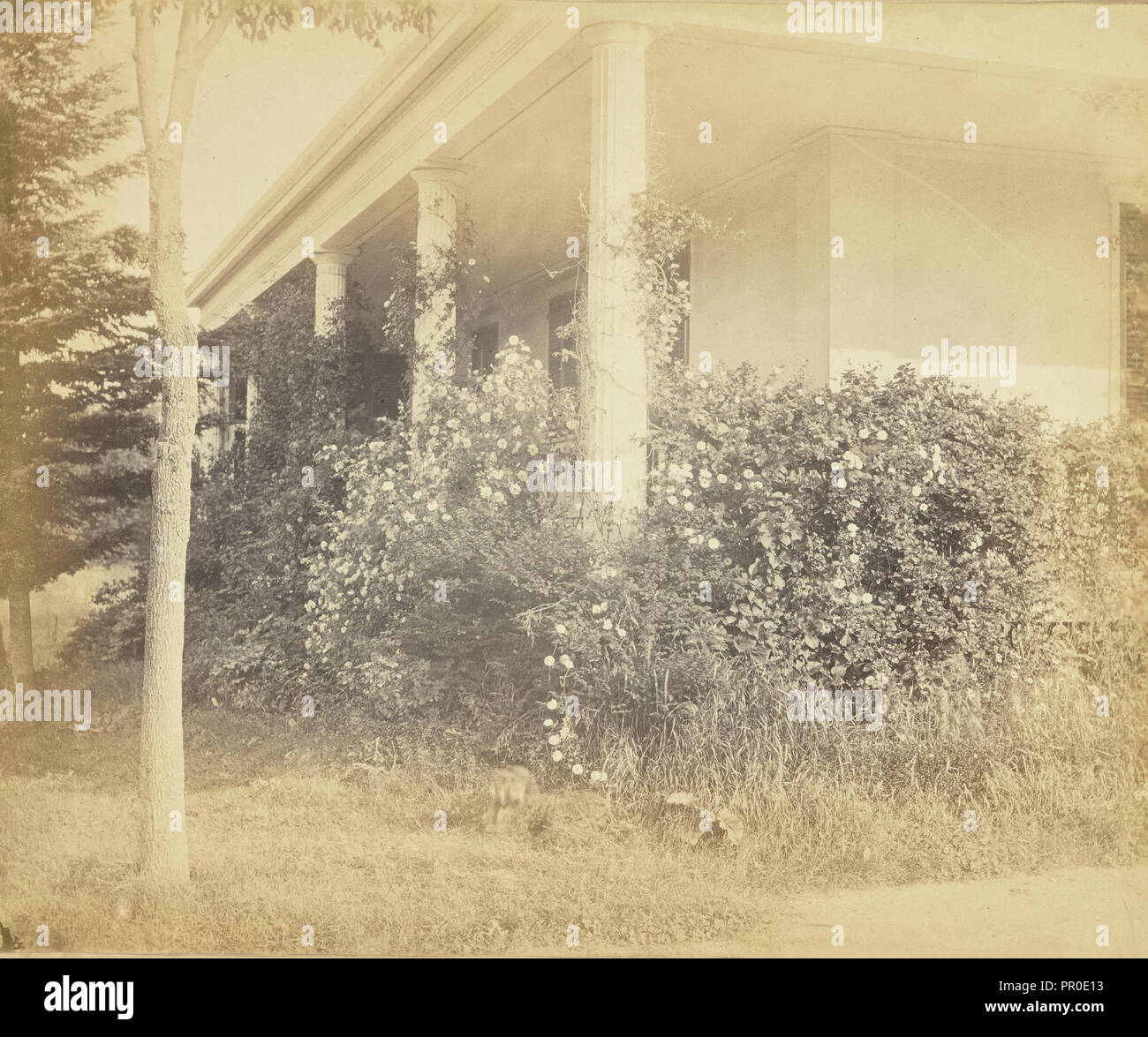 E on booth hi-res stock photography and images - Alamy