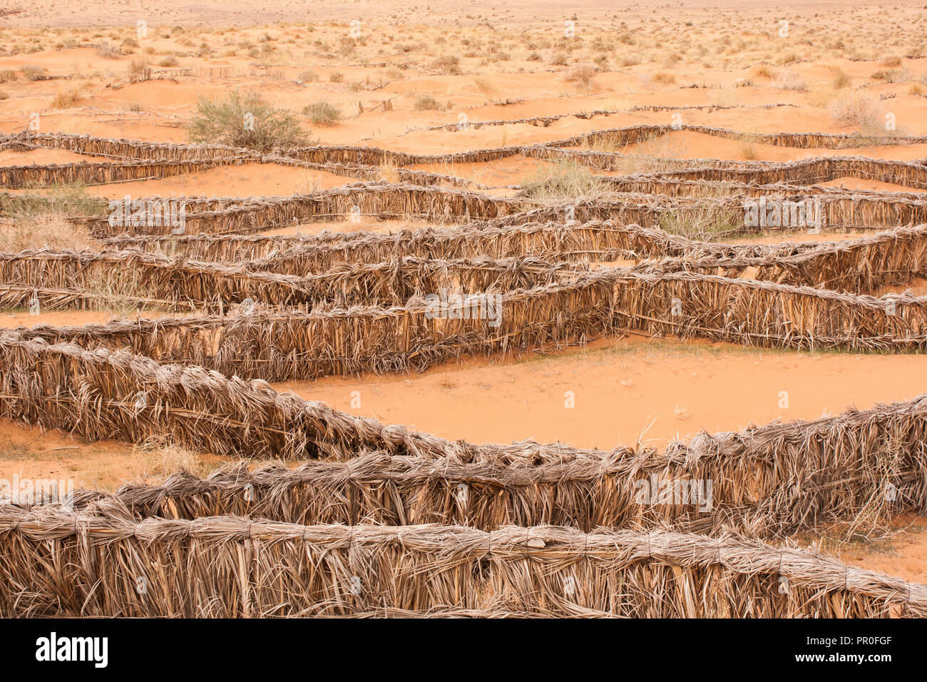 Desertification sahara desert hi-res stock photography and images - Alamy