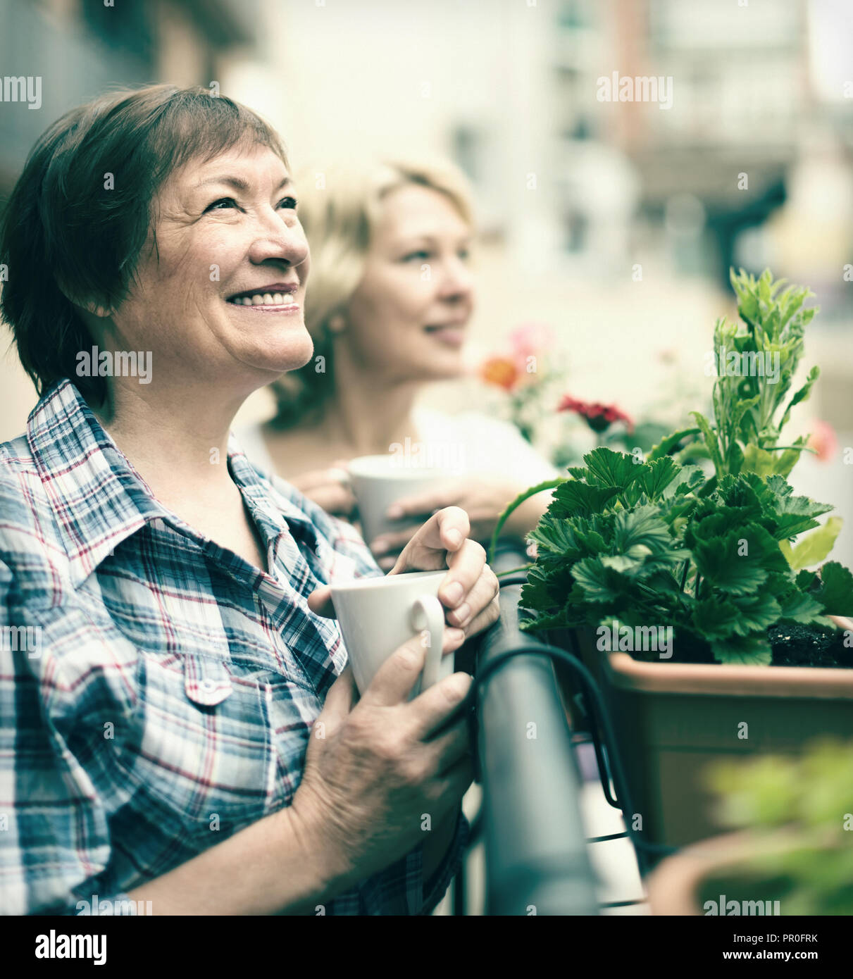 Two mature housewives drinking tea hi-res stock photography and images ...