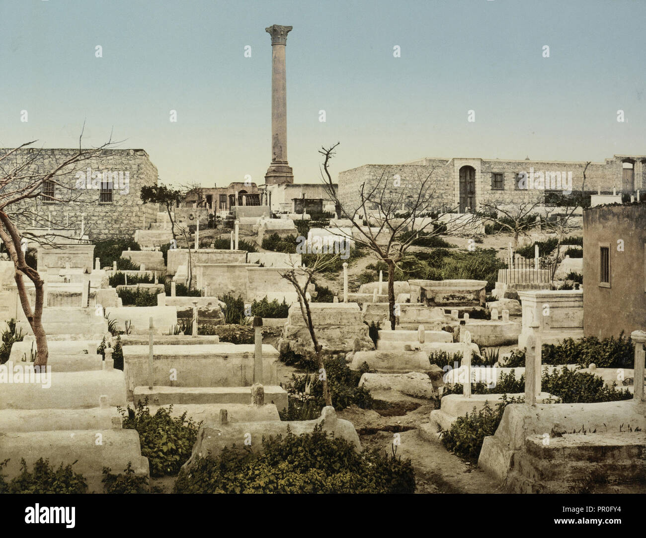 View of the acropolis, Alexandria, Egypt, looking towards Pompey's ...