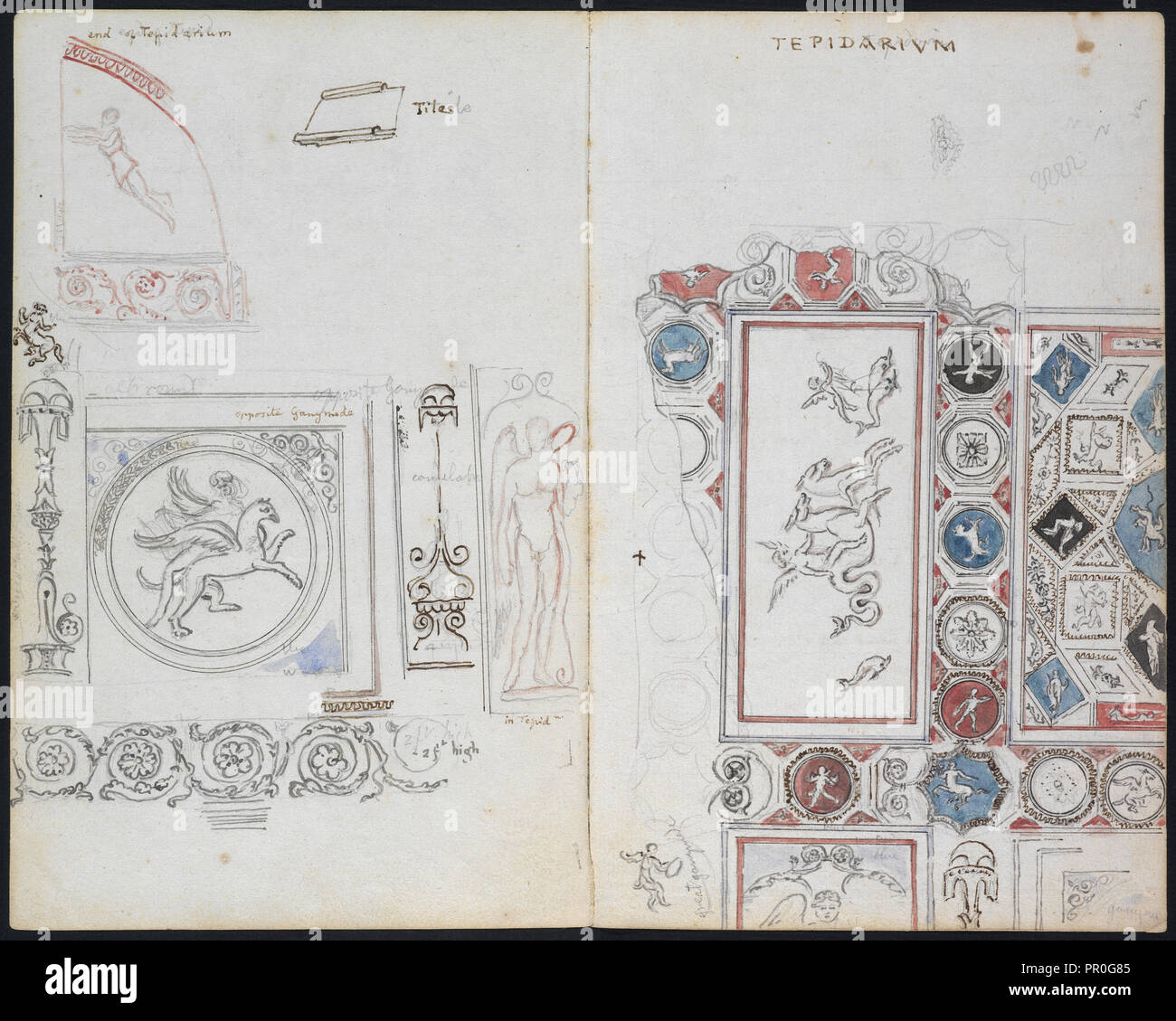 Tepidarium hi-res stock photography and images - Alamy