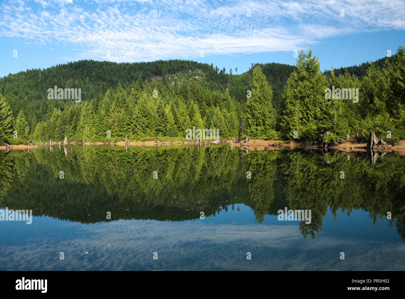 Reflections at Stave Lake in Mission, British Columbia, Canada Stock ...
