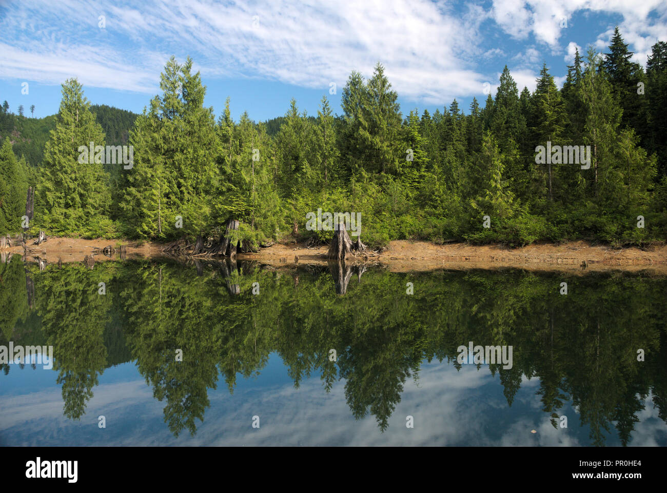 Reflections at Stave Lake in Mission, British Columbia, Canada Stock ...