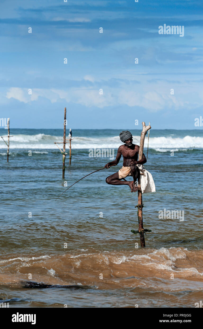 Sri Lanka stick fisherman catching fish in Koggala, Sri Lanka Stock ...