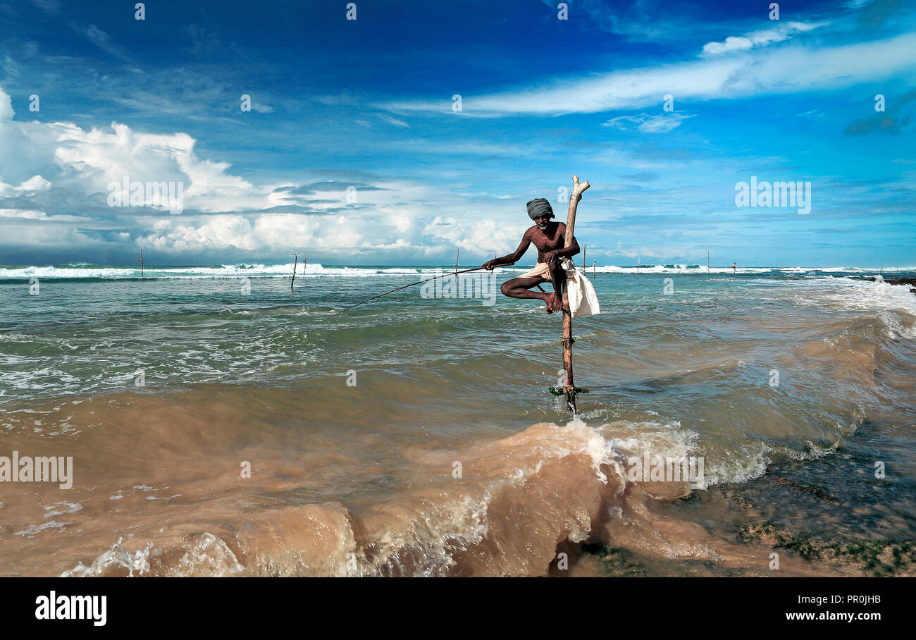 Sri Lanka stick fisherman catching fish in Koggala, Sri Lanka Stock ...