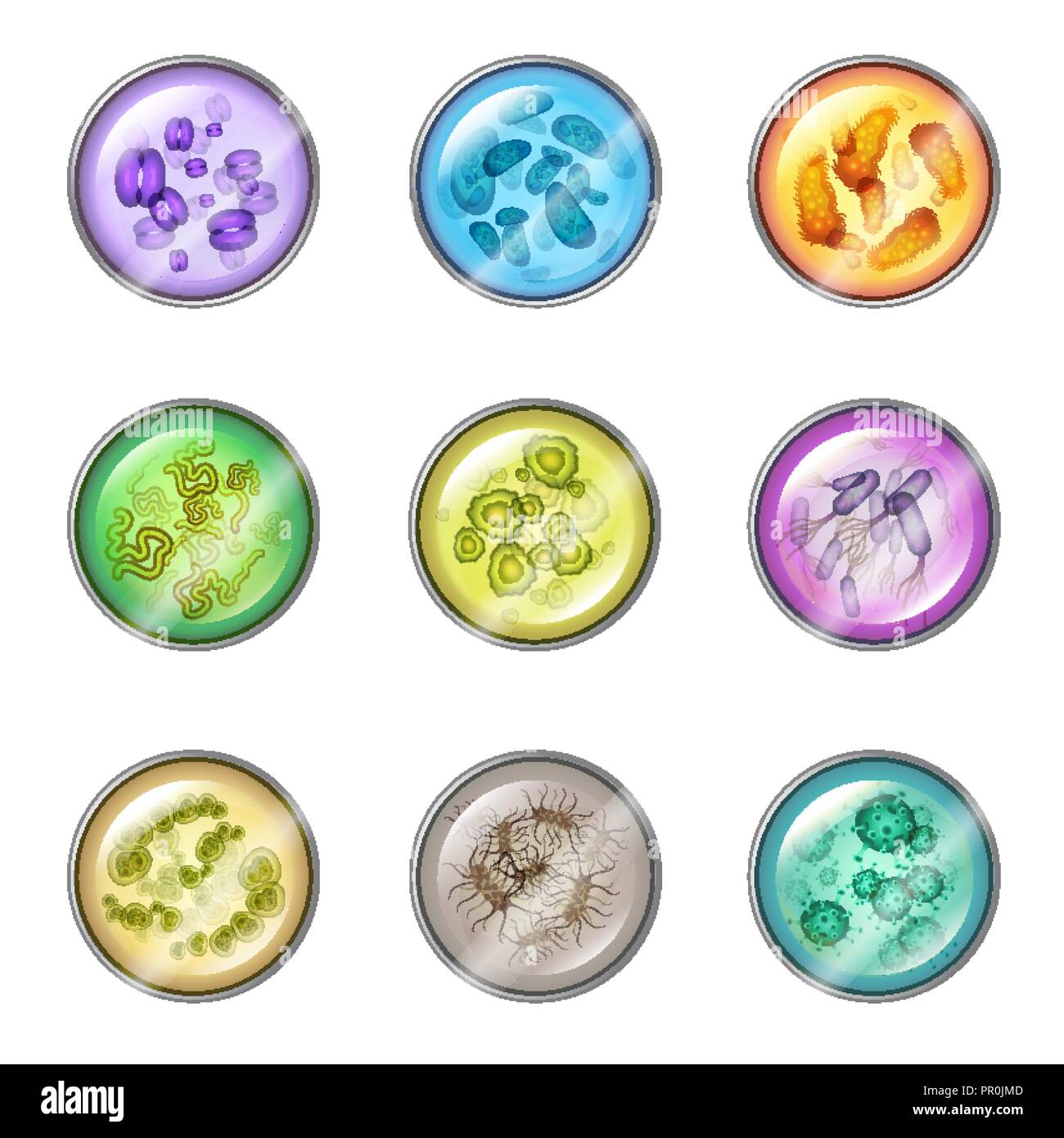 Set bacteria laboratory Cut Out Stock Images & Pictures - Alamy