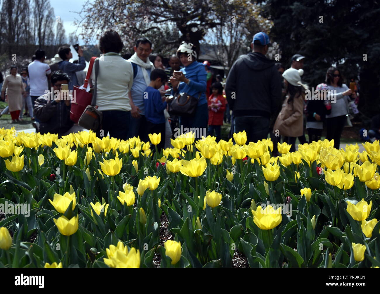 Corbett spring hi-res stock photography and images - Alamy