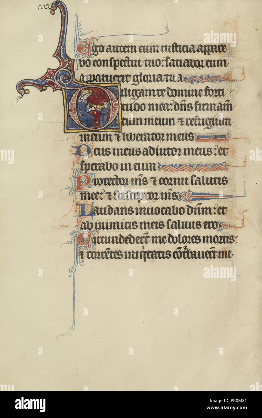 Crown gall hi-res stock photography and images - Alamy