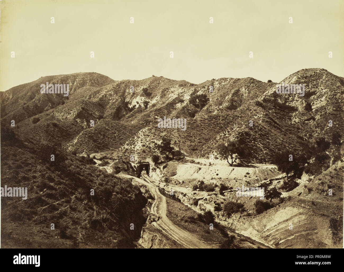 Sprr hi-res stock photography and images - Alamy