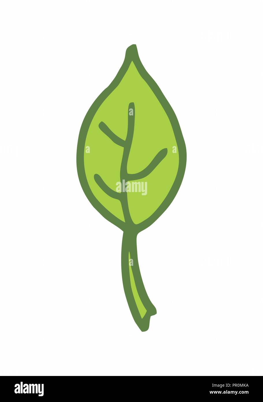 Freehand illustration of a single leaf. Colorful illustration on white ...