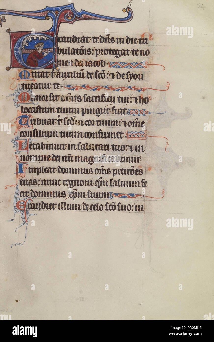 David Praying High Resolution Stock Photography and Images - Alamy