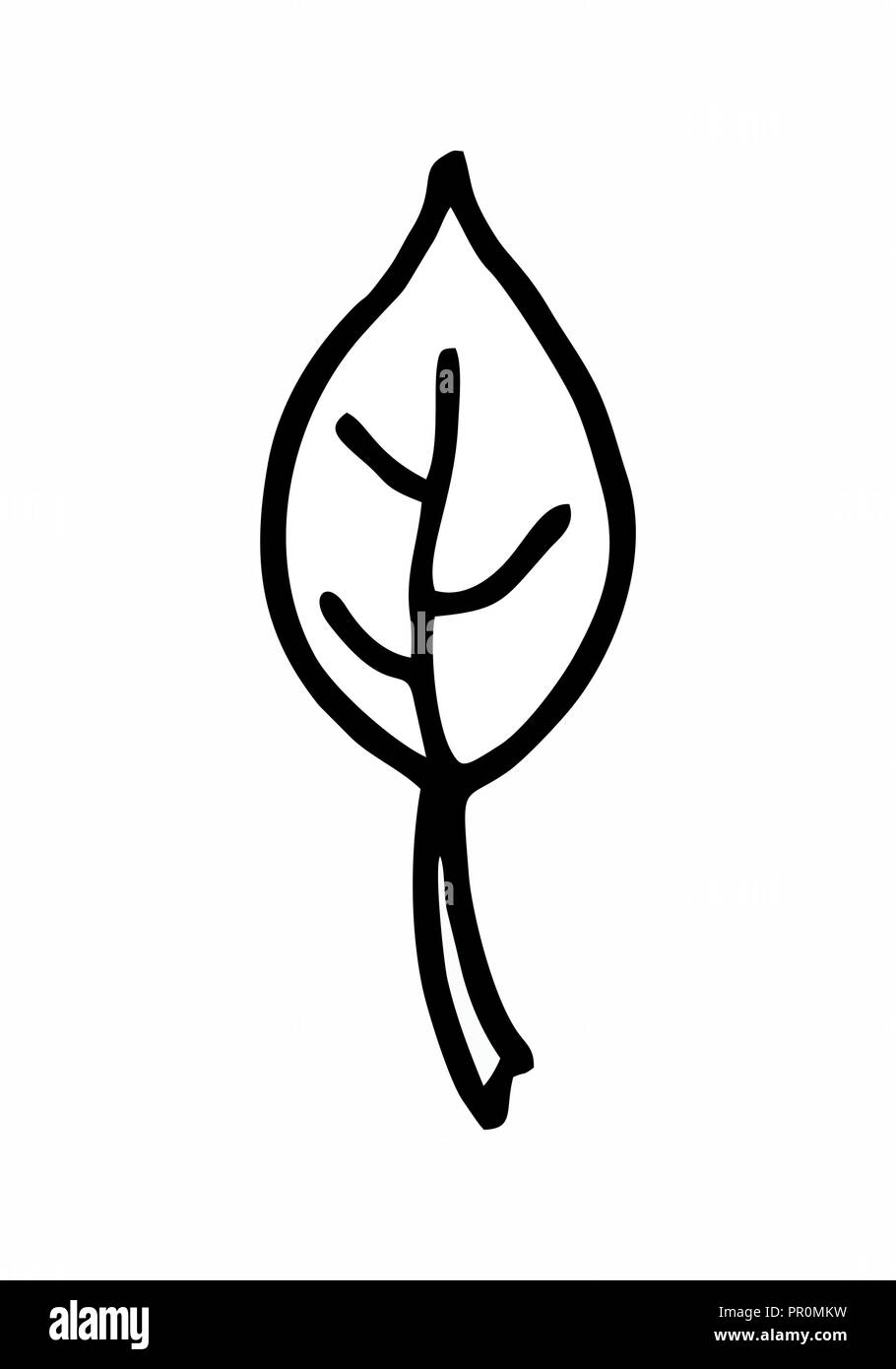Freehand illustration of a single leaf. Black outlines on white ...